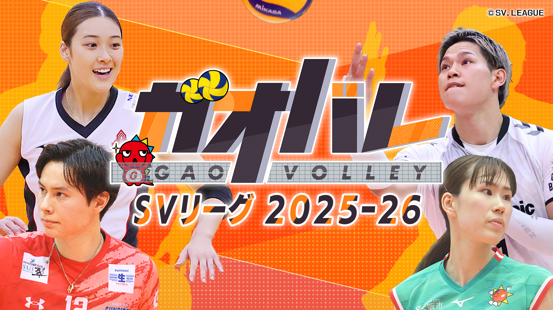 ガオバレ！SVリーグ 2025-26 | GAORA - CSスポーツチャンネル